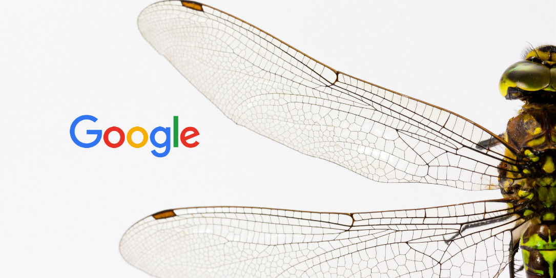Stop a Dragonfly, anche le Ong in campo contro il "Google cinese" - CorCom