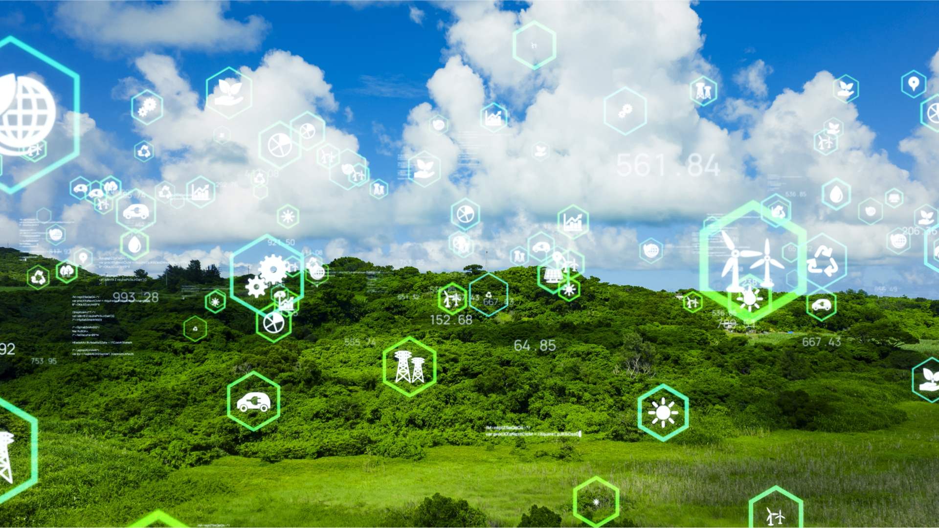 Twin transition digital & green, come sviluppare le competenze - CorCom